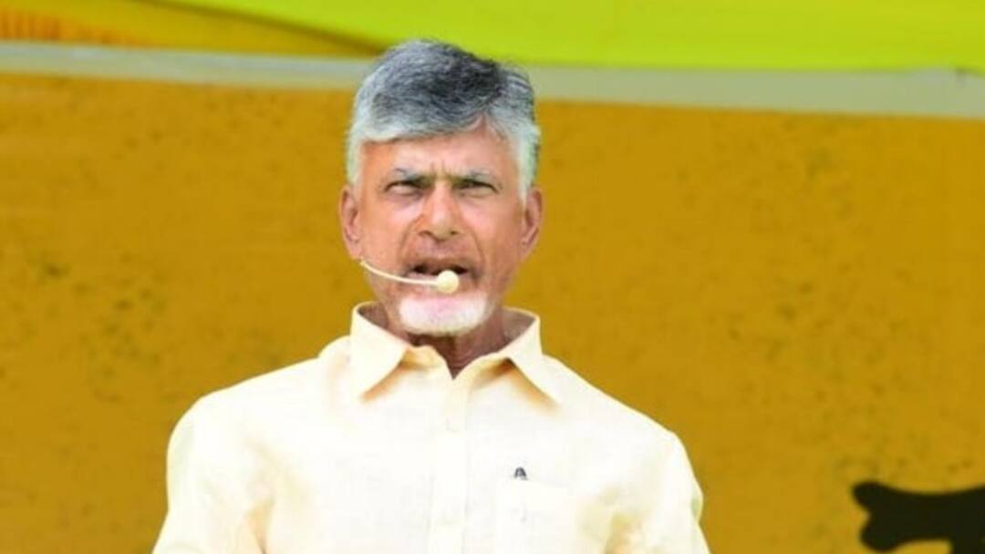 Chandrababu Naidu Amit Shah Telugu Desam Party President Meets TDP-BJP Alliance Lok Sabha ...