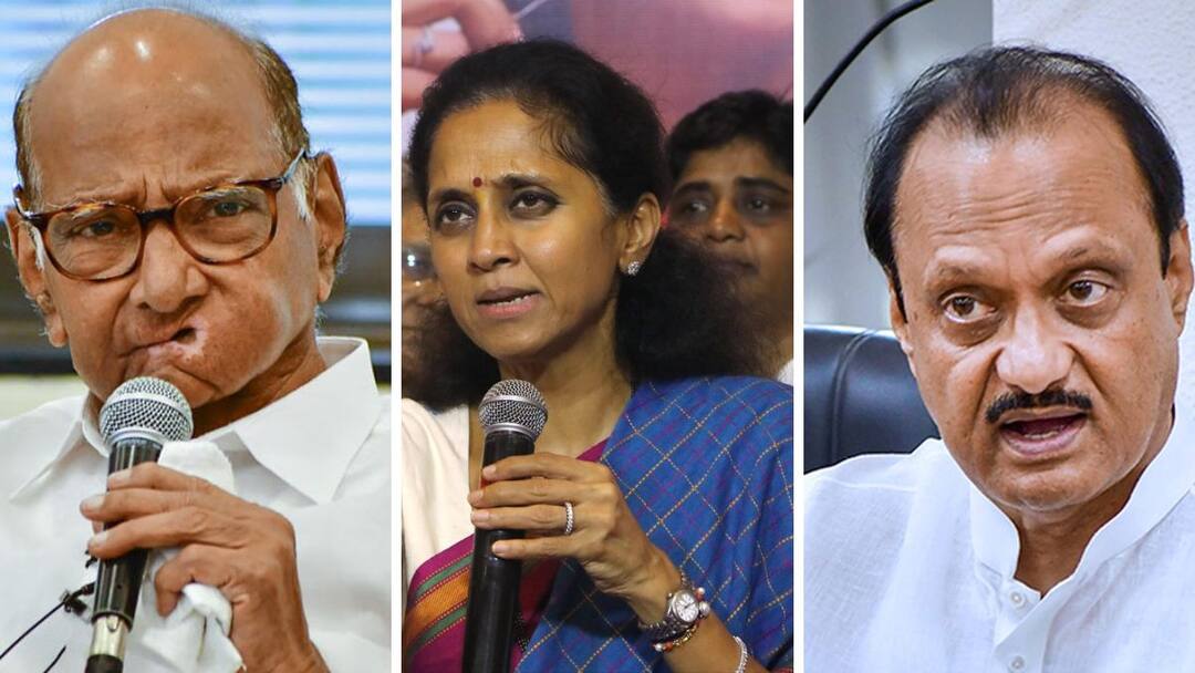 Sharad Pawar Vs Ajit Pawar Who are the only MPs and those five MLAs who gave affidavits to both ...