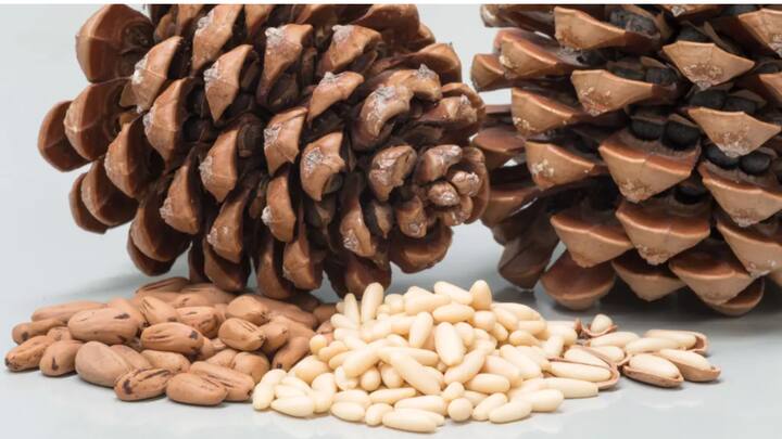 Know how much pine nuts cost the most expensive dry fruit | इस ड्राई फ्रूट की कीमत सुन कर हैरान ...