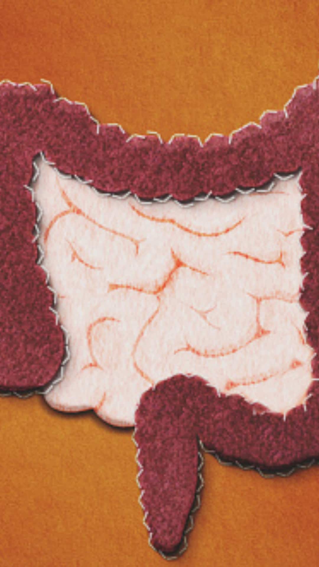 10 Food Items To Inlcude In Diet For A Happy And Healthy Digestive System