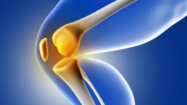 Sponge Gourd Help Control Sugar Arthritis constipation muscle pain ...