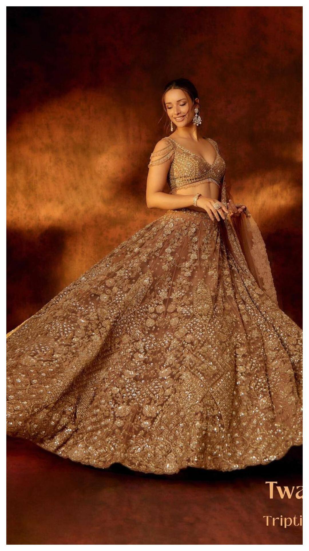 तृप्ति डिमरी की करियर जर्नी पर एक नजर