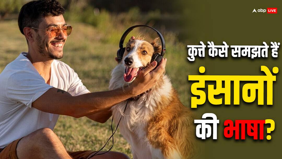 dogs understand human language research revealed | क्या कुत्ते समझते ...