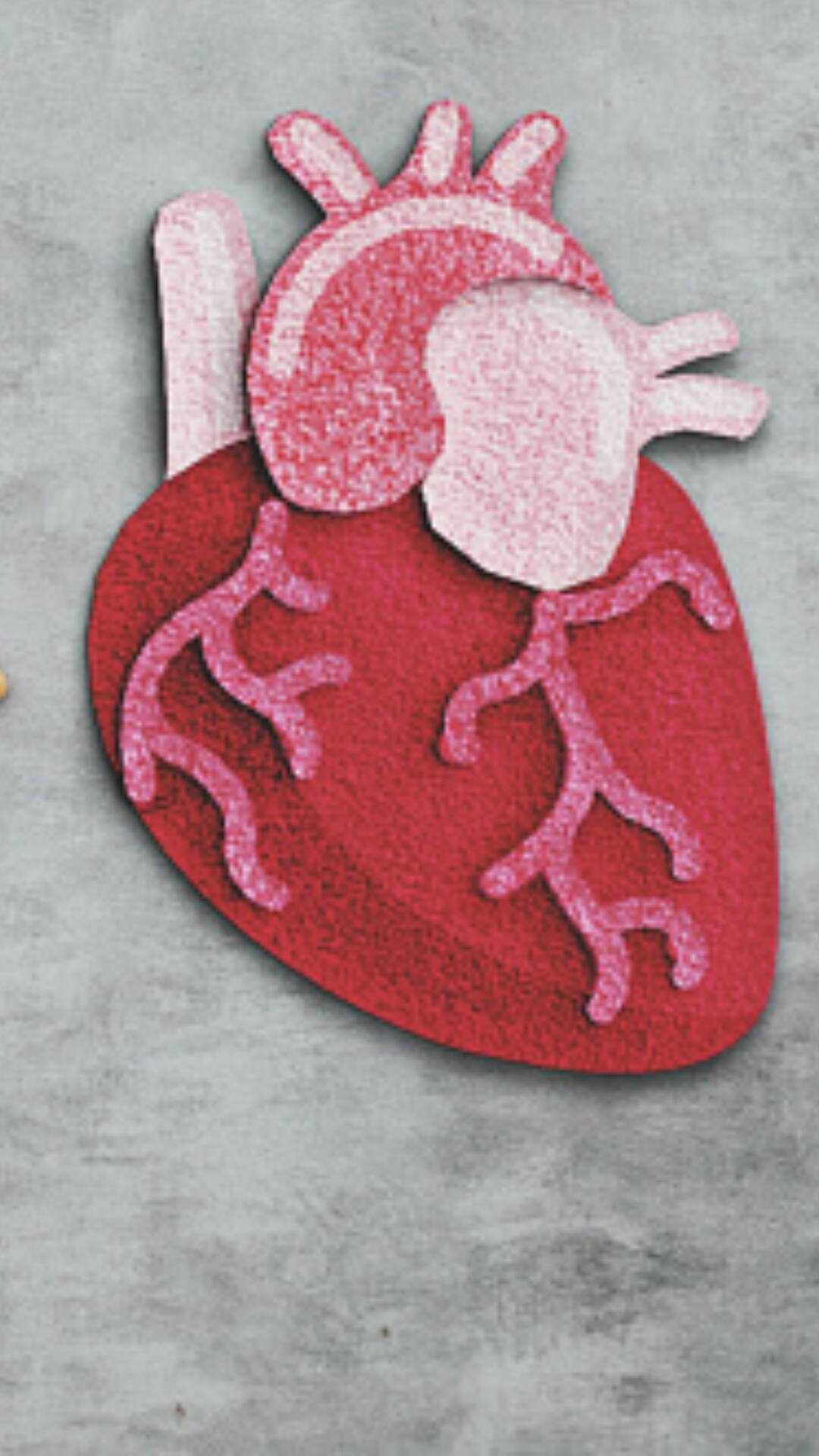 Understanding Heart Failure: Know Its Causes And Treatment