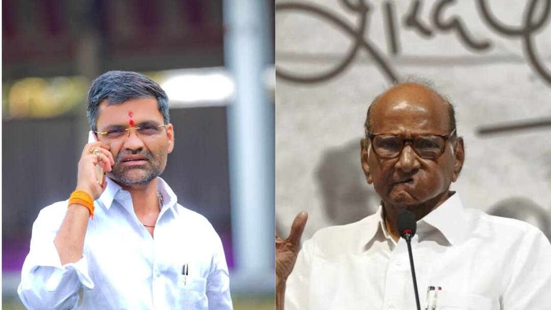 nilesh lanke amol kolhe appeal to join sharad pawar ncp vs ajit pawar bjp suajy vikhe patil ...