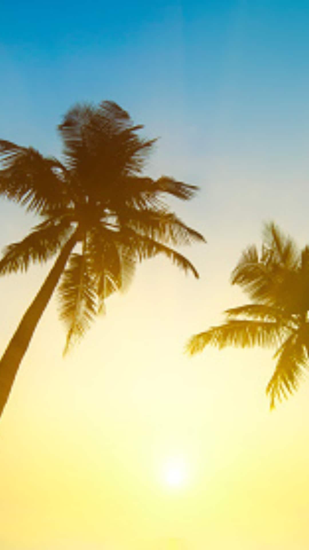 The Most Common Summer Illnesses In Children And How To Prevent These