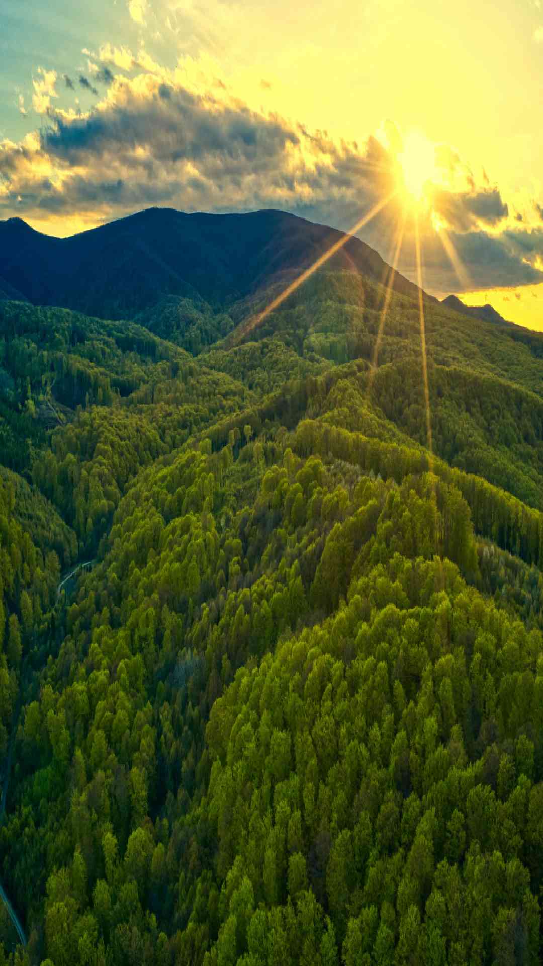 Amazon Rainforest : अॅमेझॉन जंगलाविषयी 'या' गोष्टी माहीत आहे का