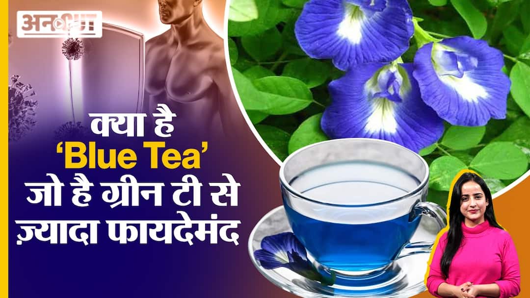Blue Tea Benefits: Blue Tea के फायदे सुन कर भूल जाएंगे ‘Green Tea’ और ‘Black Tea’! | Blue Tea ...