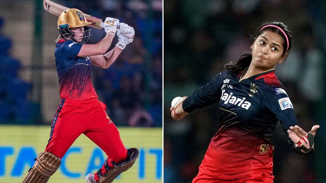 WPL 2024 Most Runs Highest Wickets List DC vs RCB Final Ellyse Perry Smriti Mandhana Shreyanka Patil