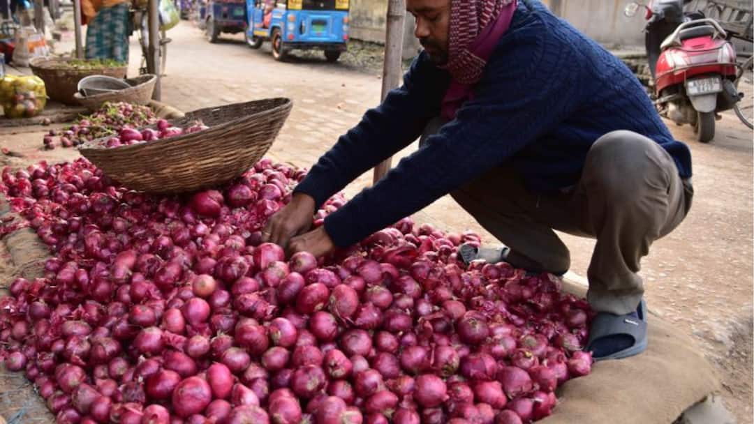 Govt Extends Onion Exports Ban Till Further Notice Ahead Of General Election