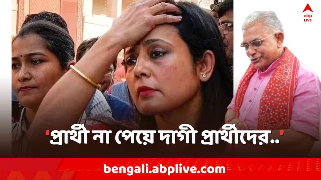 Lok Sabha Elections 2024, BJP Candidate Dilip Ghosh attacks Krishnanagar TMC Candidate Mahua ...