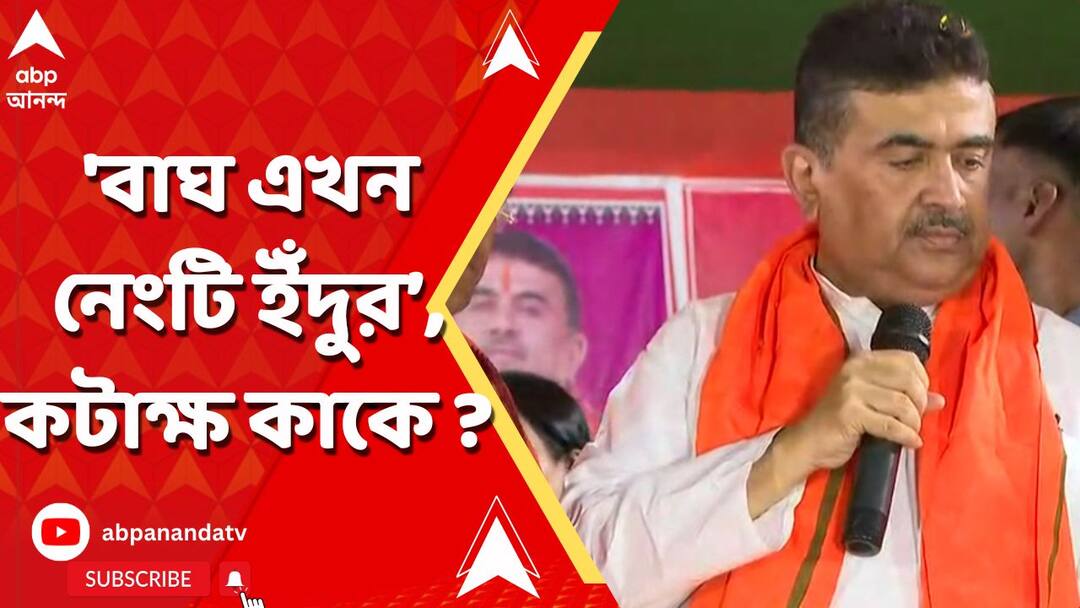 Suvendu Adhikari From Canning Meeting Message For TMC MLA Saokat Molla | Suvendu On Saokat:'বাঘ ...