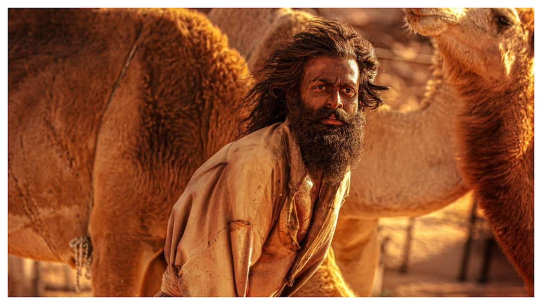 Aadujeevitham The Goat Life Box Office Collection: Prithviraj Sukumaran ...