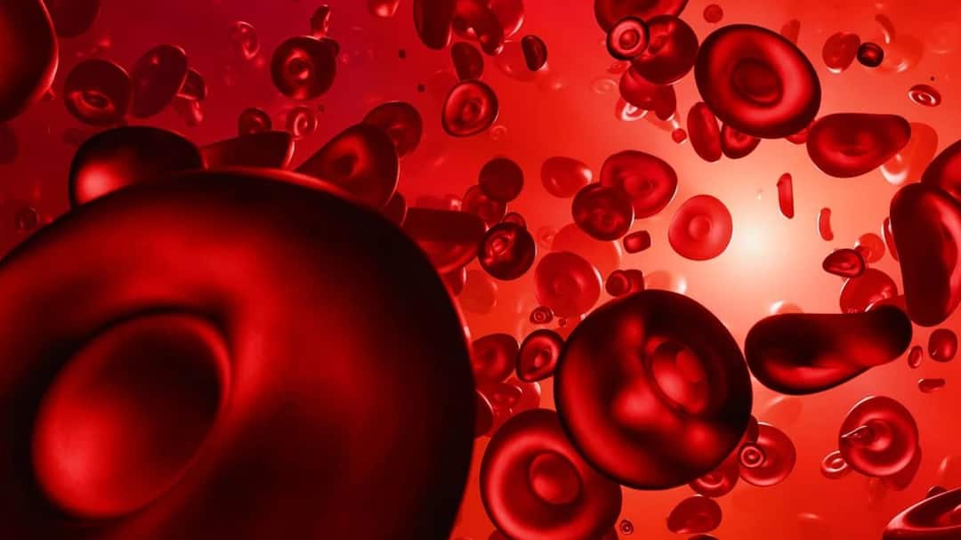 Why is blood red in colour get to know in details | Science News: হলুদ ...