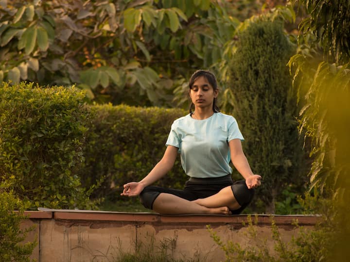 Chair Yoga Gentle Stretches And Breathing Exercises For Stress-Free ...
