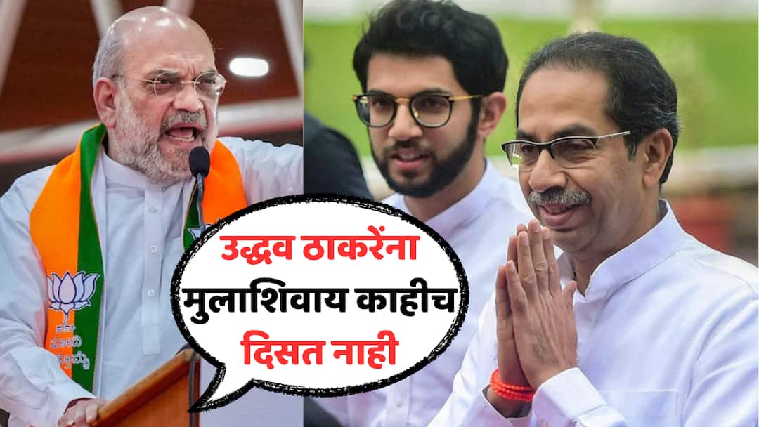 Amit Shah Criticized Uddhav Thackeray Aditya Thackeray Sharad Pawar BJP NCP Shiv Sena Anup ...