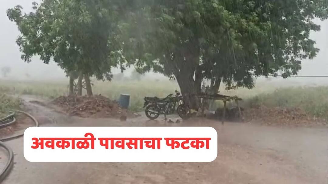 Unseasonal Rain in maharashtra vidarbha | Unseasonal Rain