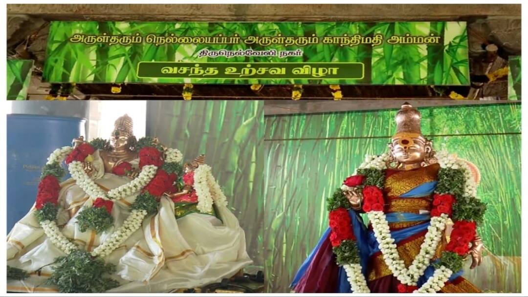 Vasantha Utsavam: Swami Nellaiappar and Gandhimathi Ammal ...