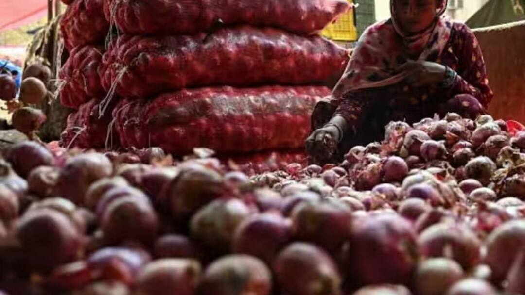 Onion Exports Government Imposes 40 Per Cent Duty On Onion Exports | Onion Exports: வெங்காய ...