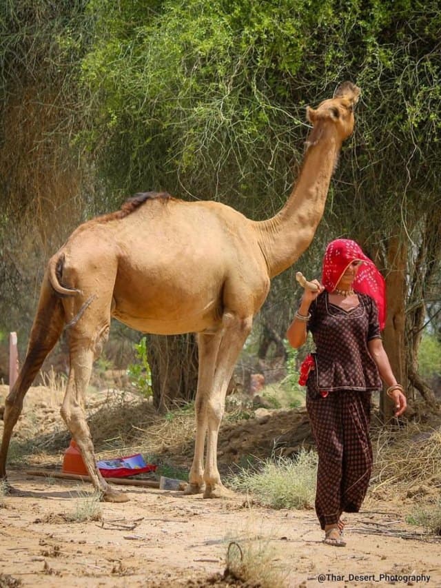 भारत का सबसे गर्म शहर कौन-सा है