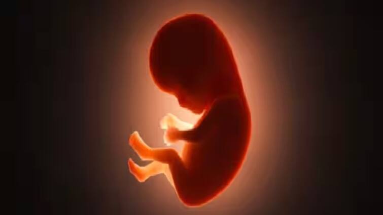 Sambhaji Nagar Prenatal Sex Determination Racket Exposed Illegal