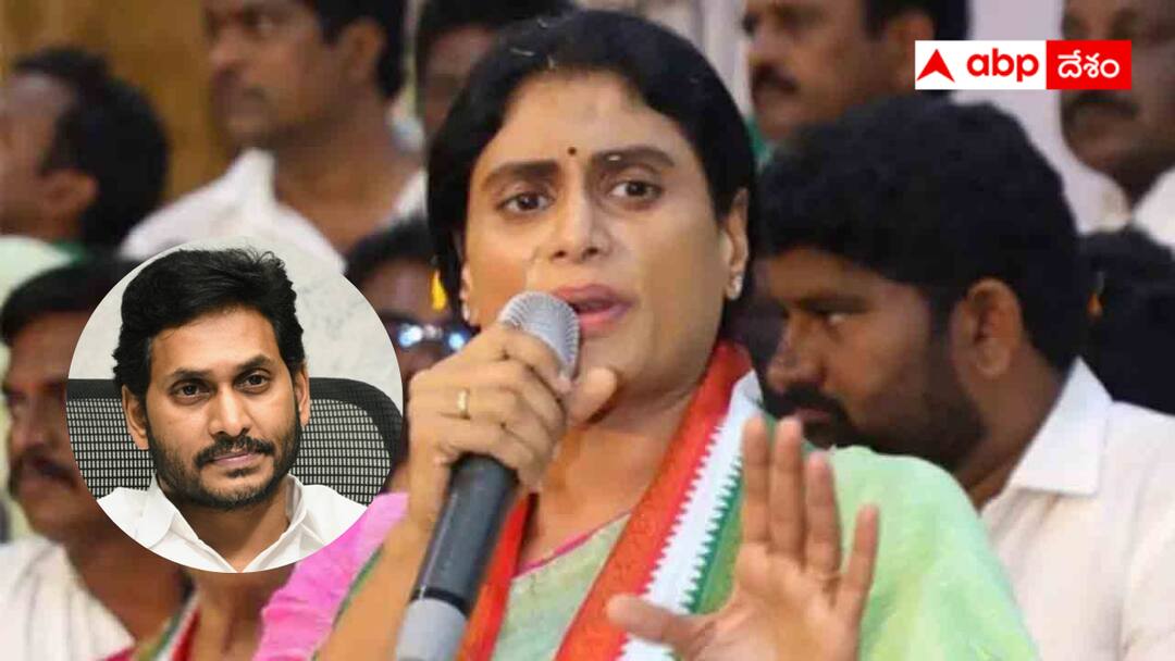 AP girl rape incident Sharmila criticizes CM Jagan | Sharmila On Jagan : ఏపీ సీఎంను అంత మాట ...