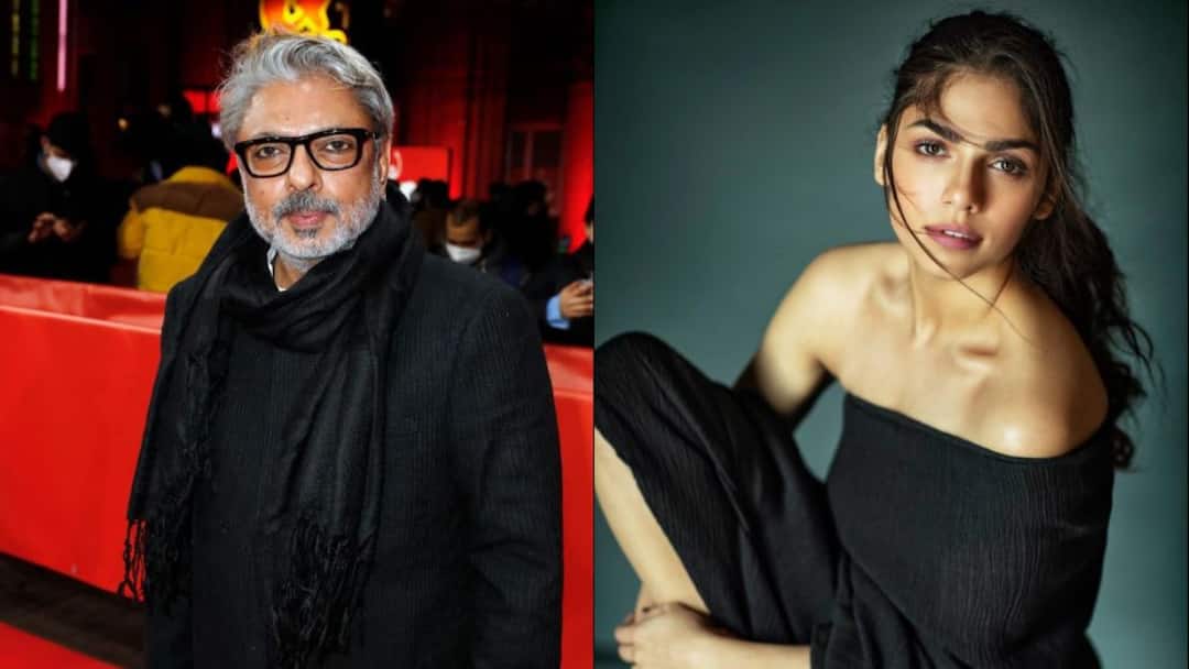 Sanjay Leela Bhansali On Casting Sharmin Segal In Heeramandi: 'She Has The Face of What Alamzeb ...