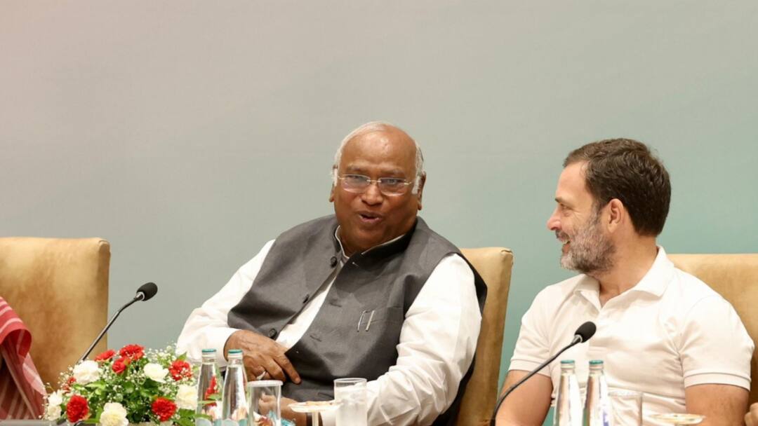 'Celebrate Revival But Reflect On Performance': Congress Chief Kharge ...