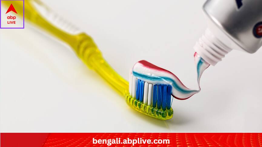 How Do You Know If Your Toothpaste Is Safe Or Not | Toothpaste Safe ...