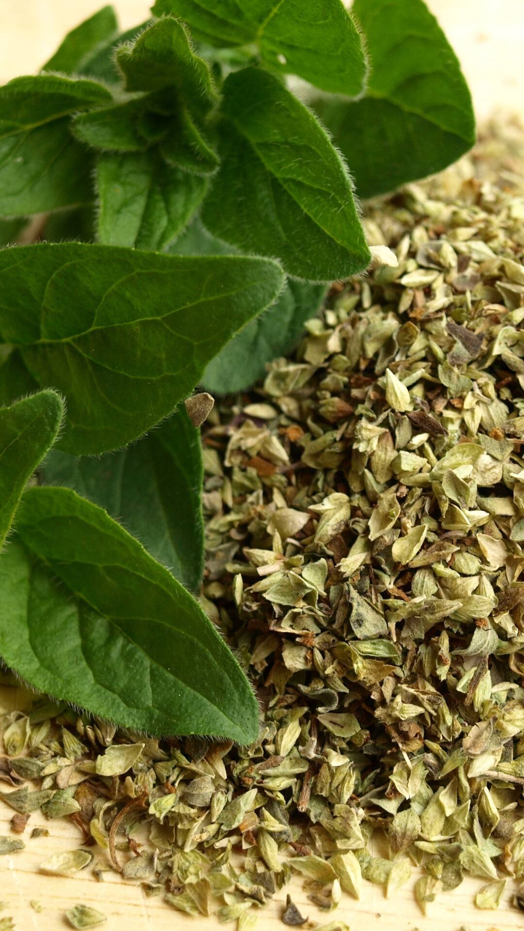 Discover The Versatile Benefits Of Oregano For Mind And Body