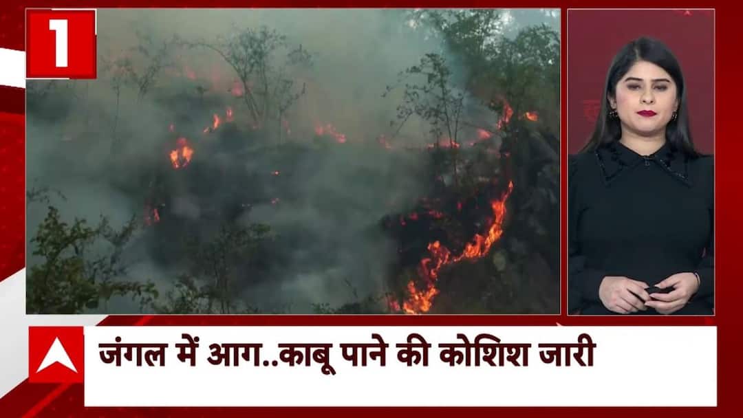 Top News Horrific attack in Bali-Tirshi forest of Jammu and Kashmir ...