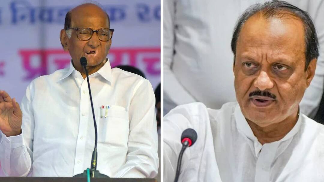 ncp ajit pawar spokesperson umesh patil on sharad pawar maratha obc ...