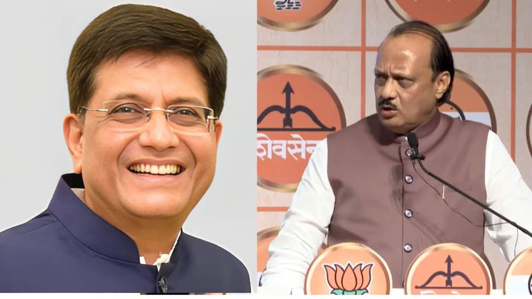 Ajit Pawar Onion export ban had to pay a heavy price, do anything, but ...