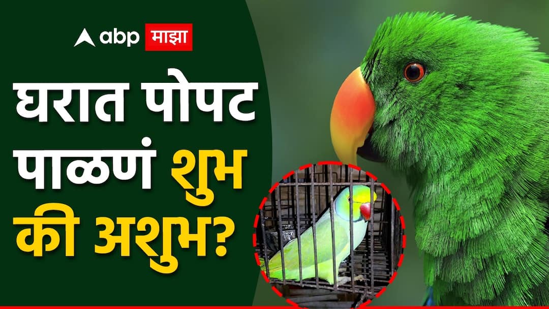 Astrology vastu tips for parrot kepping parrot at home is auspicious or ...