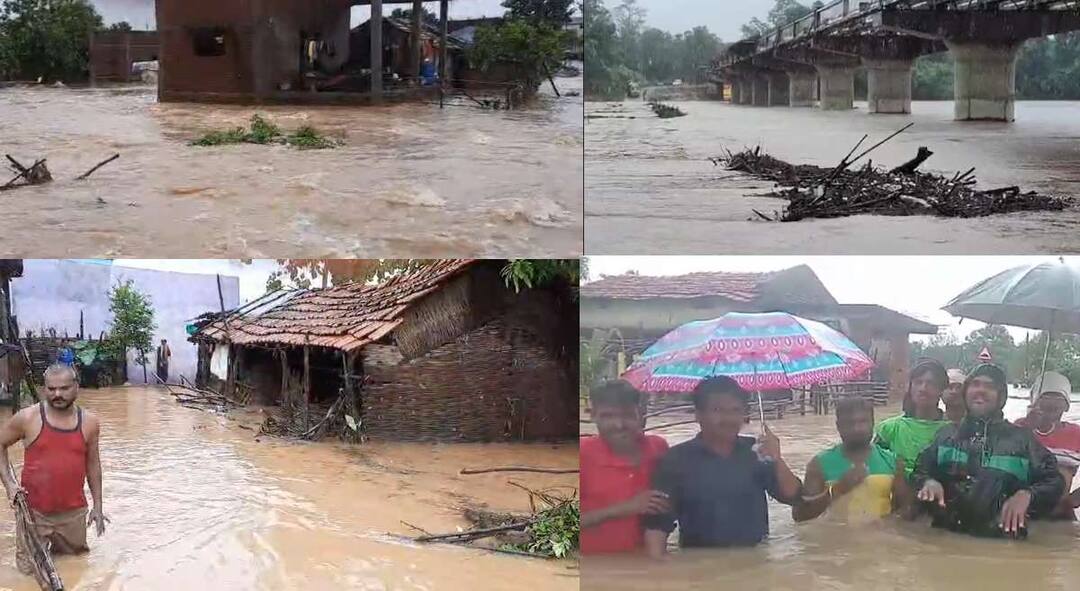 vidarbha rain update heavy rain in Chandrapur many houses under water along many animals died ...