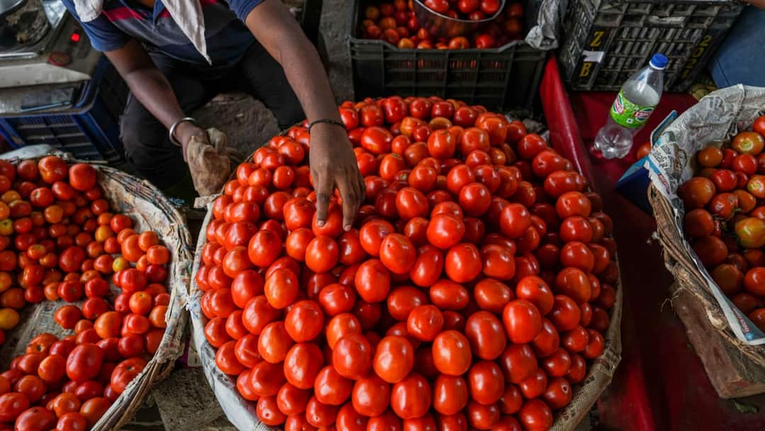 NCCF to sell Tomato Rs 60 per kg from July 29 in Delhi NCR amid soaring price | Tomato Price ...