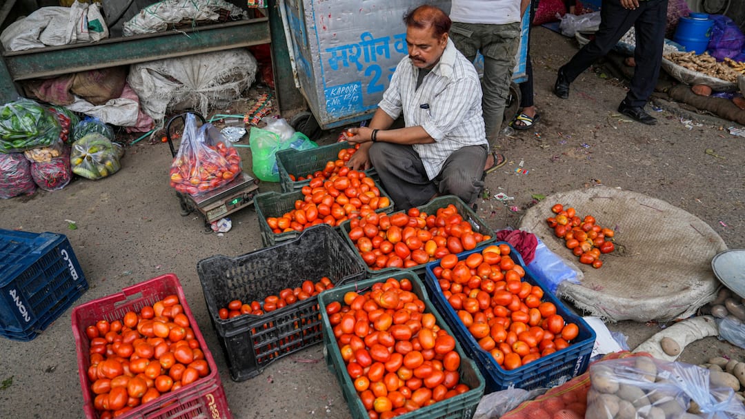Delhi Tomato Price Hike Sale of subsidized tomatoes starts in Delhi NCR | दिल्ली-एनसीआर में ...