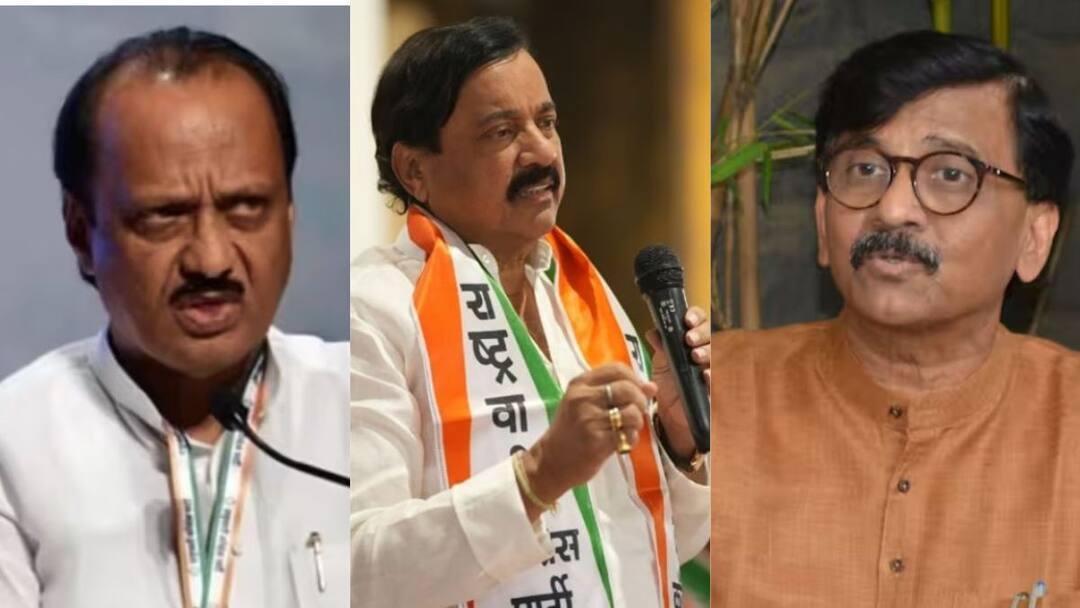 Shivsena MP Sanjay Raut Criticized on ncp mp Sunil Tatkare for Maharashtra politicis ajit pawar ...