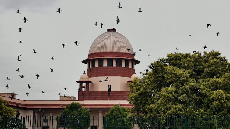 Supreme Court Reacts After Man Threatens Suicide In Court Makes Pm Modi Judges Parties In Case 