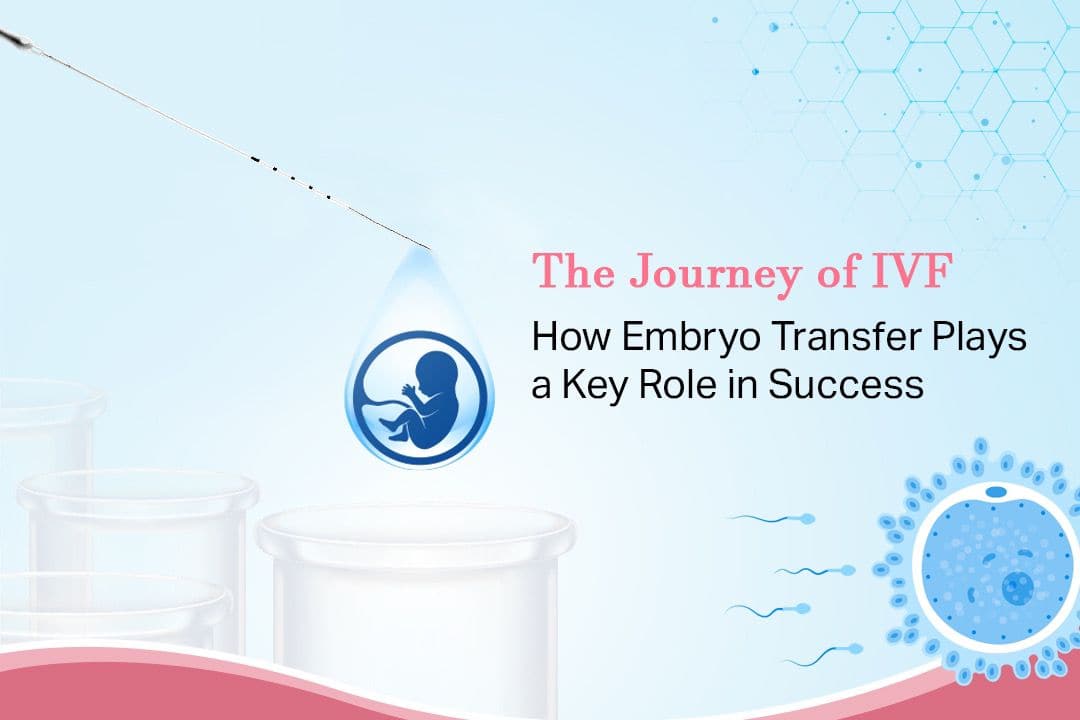 The Journey of IVF: How Embryo Transfer Plays a Key Role in Success