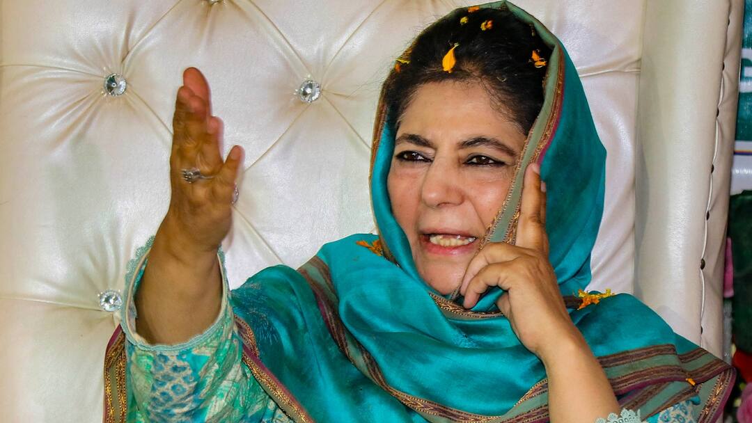 Nasir Aslam Wani says article 370 would not have been revoked had PDP ...