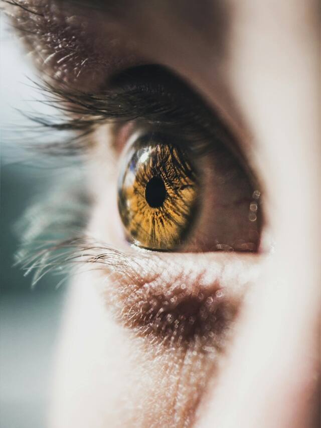 कितने कलर पहचान सकती हैं हमारी आंखें