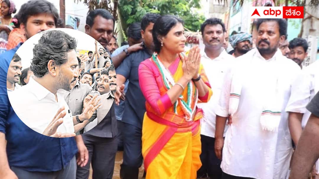 Sharmila criticizes Jagan more than the TDP government | Sharmila Target Jagan : ప్రభుత్వం కన్నా ...