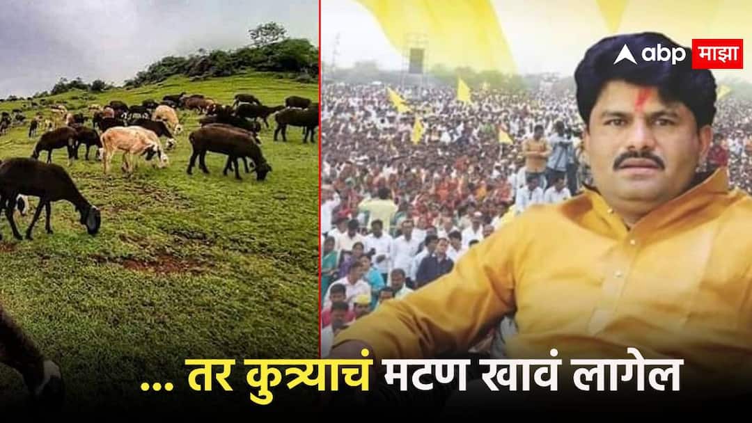 Gopichand Padalkar on dhangar reservation so the people of Maharashtra ...