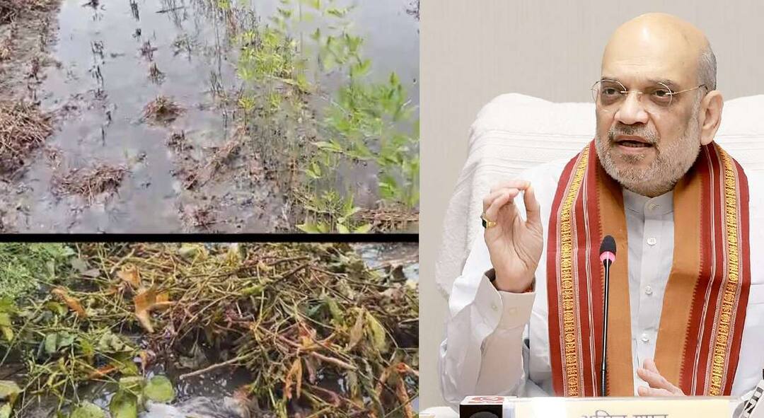 maharashtra rain update news heavy rain in vidarbha marathwada Amit Shah Maharashtra tour ...