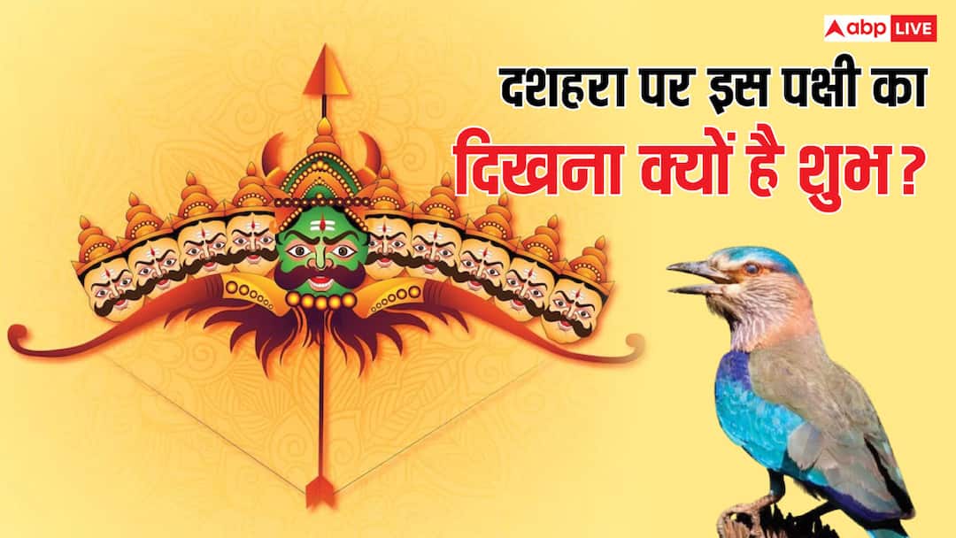 Dussehra 2024 Why is Auspicious to Seeing Neelkanth Bird On ...