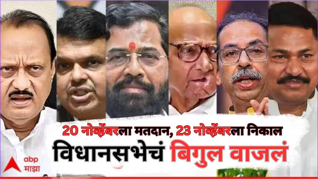 Maharashtra Vidhan Sabha Nivadnuk 2024 assembly election date Top 10 Highlights of Central ...