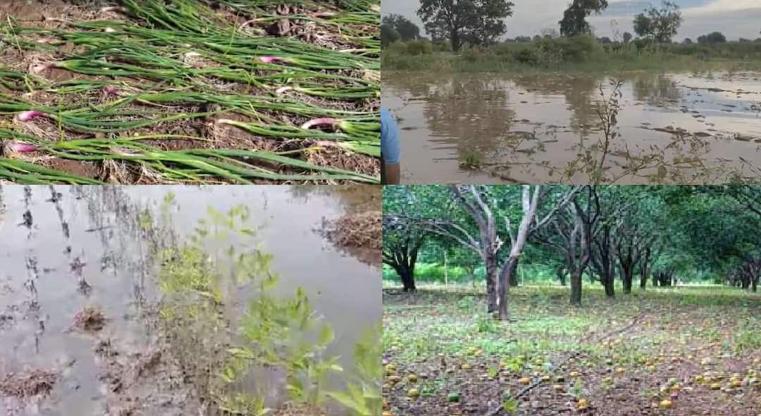 maharashtra rain update news heavy rain in vidarbha marathwada and other districts of ...