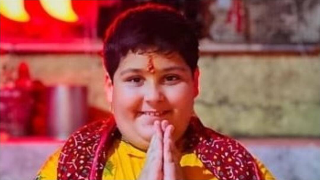 Swami Rambhadracharya On Viral 'Bal Sant Baba' Abhinav Arora Itna Murkh Ladka Hai