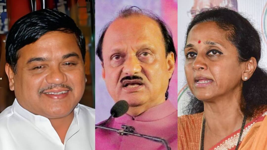 Supriya Sule apologizes after Ajit Pawar accuses RR Patil irrigation scam Maharashtra Marathi ...